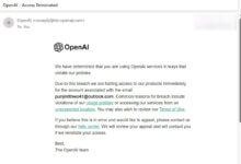 OpenAI和OpenAI API因为使用条例或者调用地址被封号Access Terminated了怎么办？ - ChatGPT博客